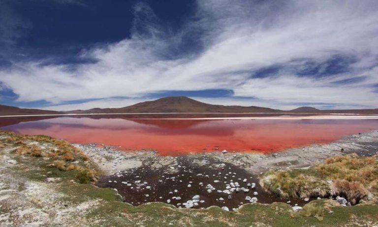 Laguna Colorada Bolivia Recomendaciones | Flamencos andinos | Chullos ...