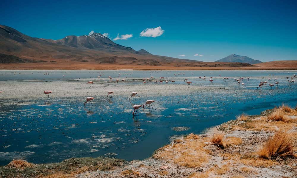 Laguna Hedionda | Agua Salada | Chullos Travel Peru Blog