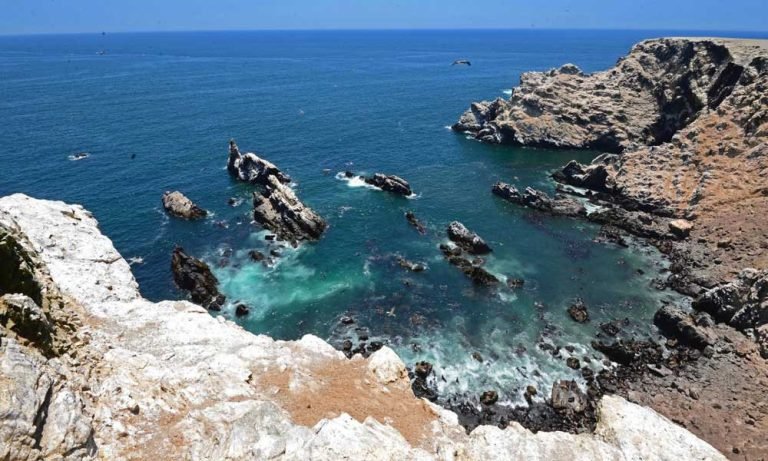 Isla Foca | ¿Cuándo visitar la isla Foca? | Chullos Travel Peru Blog