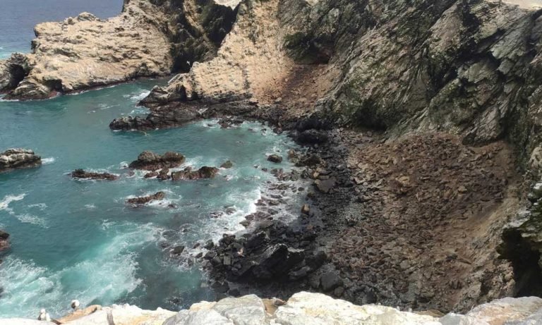Isla Foca | ¿Cuándo visitar la isla Foca? | Chullos Travel Peru Blog
