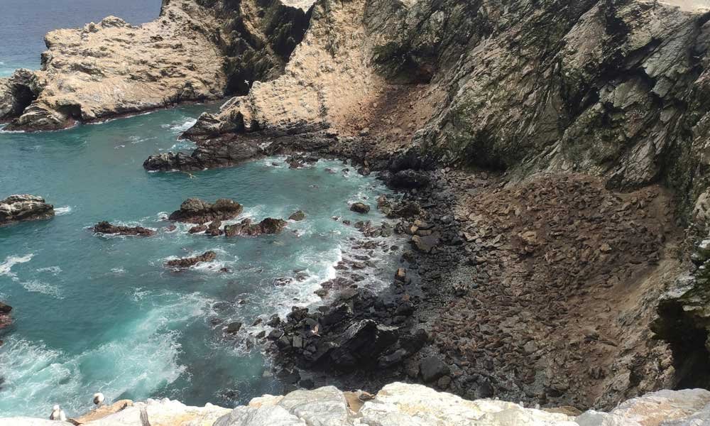 Isla Foca | ¿Cuándo visitar la isla Foca? | Chullos Travel Peru Blog