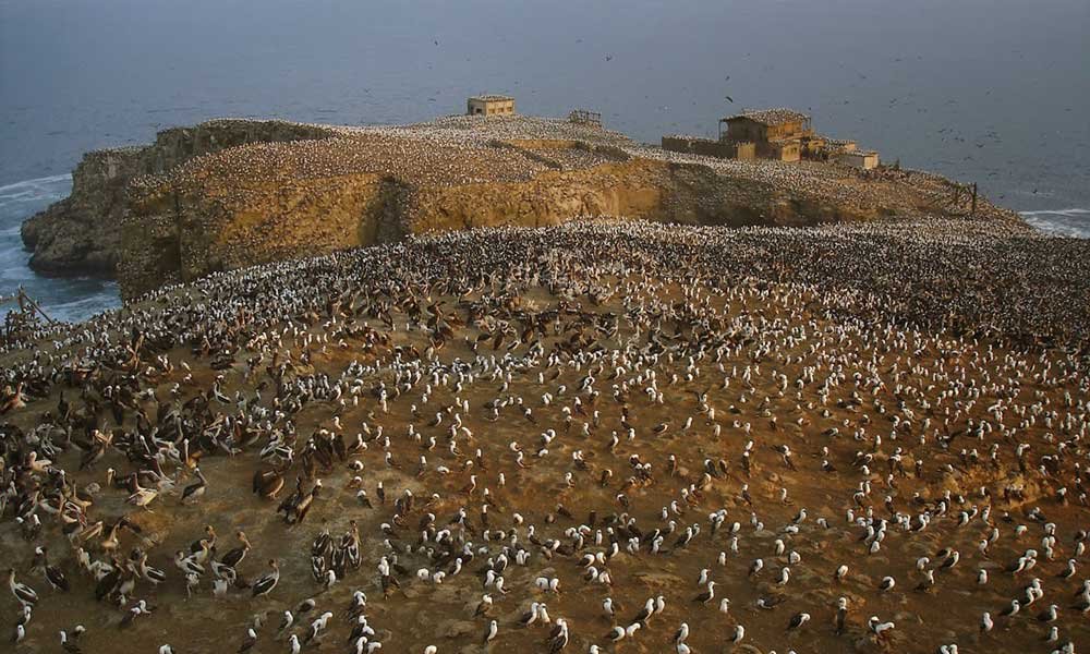Islas Macabí Chullos Travel Peru Blog