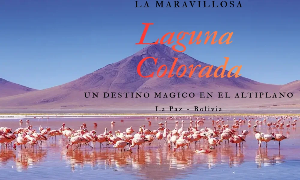 Laguna Colorada, La Paz – Bolivia: A Natural Spectacle Chullos Travel ...