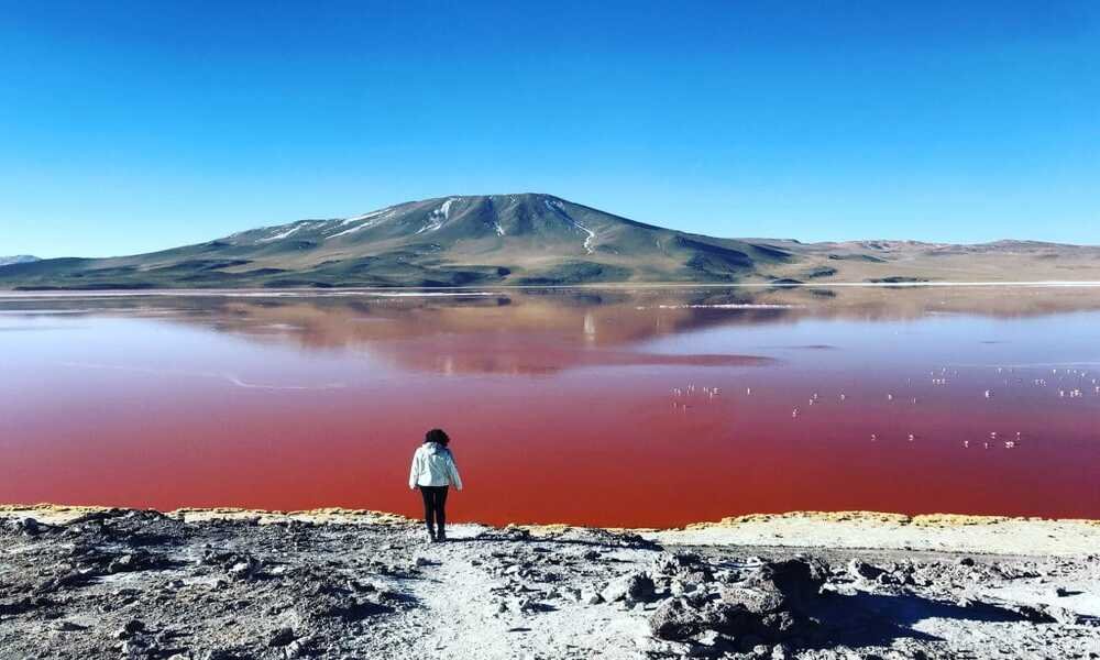 Laguna Colorada, La Paz – Bolivia: A Natural Spectacle Chullos Travel ...